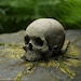 HUMAN SKULL REPLICA natural full size realistic replica made