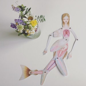 Lift-the-flap Anatomy Paper Doll: Human Viscera