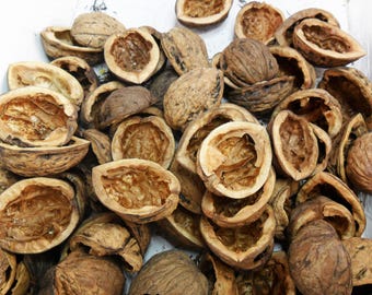 Walnut shells | Etsy