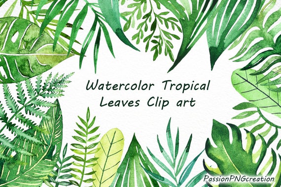 Watercolor Tropical Leaves Clip art Handpainted clipart PNG