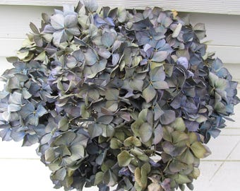 Dried hydrangeas | Etsy