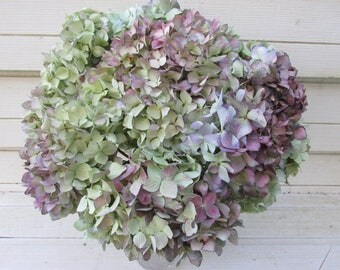 Dried hydrangeas | Etsy