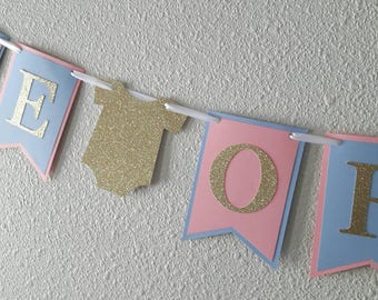 Gender reveal banner | Etsy