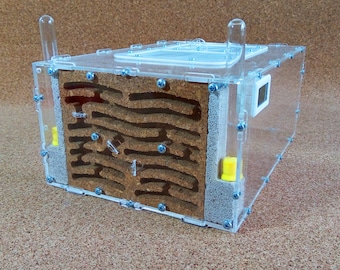 Formicarium | Etsy