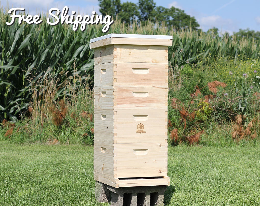 Bee Hive 10 Frame Langstroth 2 Deep Brood Boxes & 3