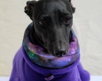 Italian greyhound clothing | Etsy