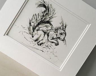 Squirrel drawing | Etsy