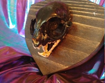 Painted skull | Etsy