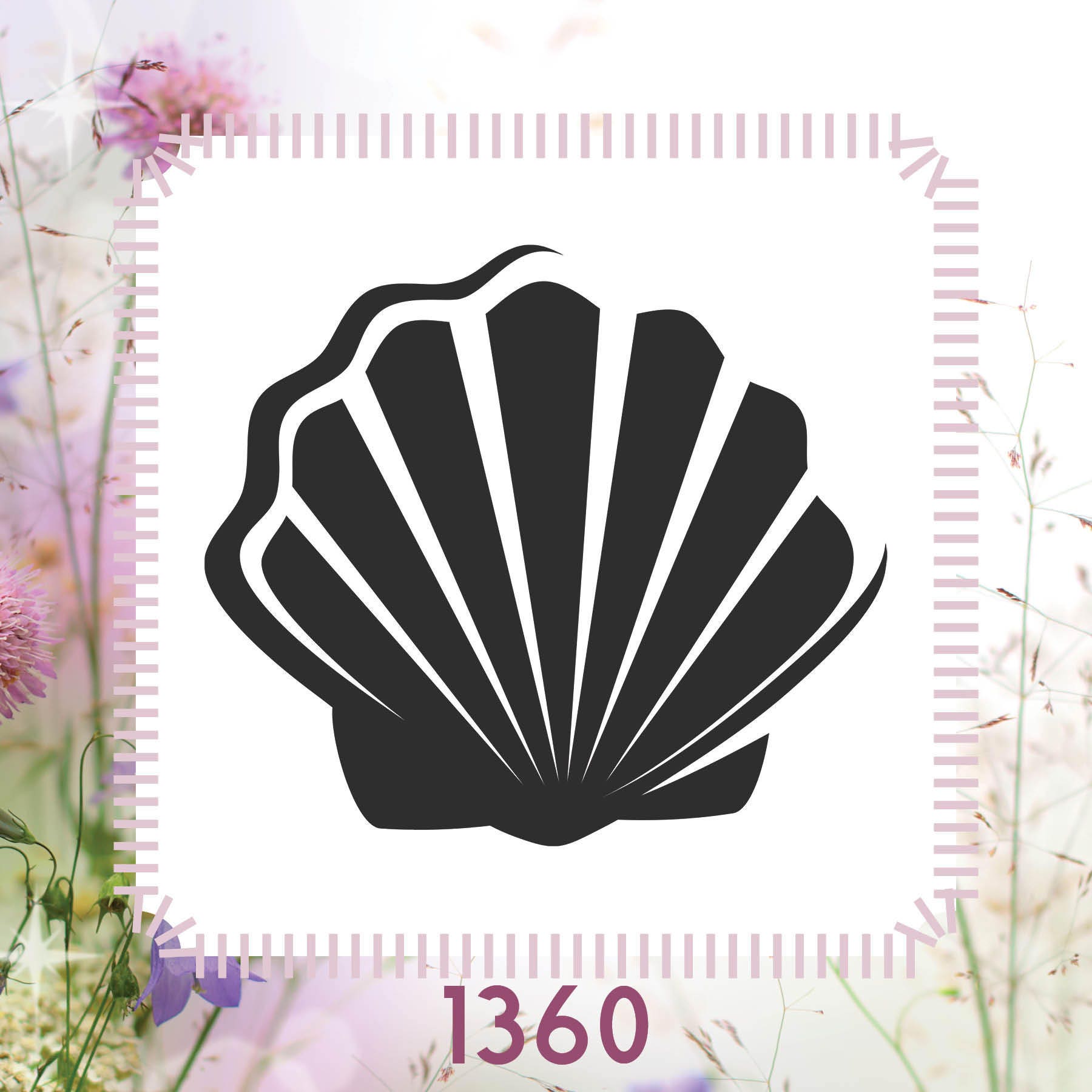 Sea Shell Stencil Beach Ocean Themed DIY Reusable Stencil