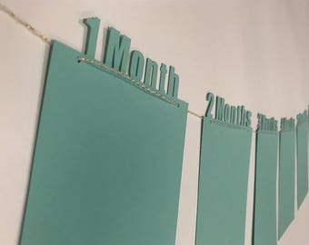 Monthly photo banner | Etsy