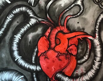 Heart Human Anatomy Butterfly Anatomical Heart Print on