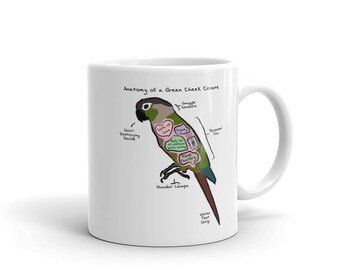 Green cheek conure | Etsy
