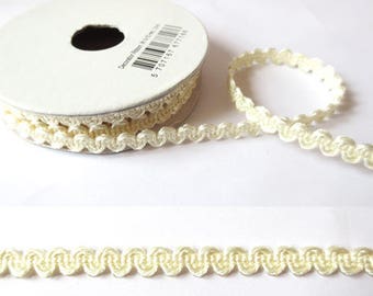 Gold Champagne Ivory Fancy Vintage Style Tulle Dress for