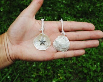 Jingle shells | Etsy