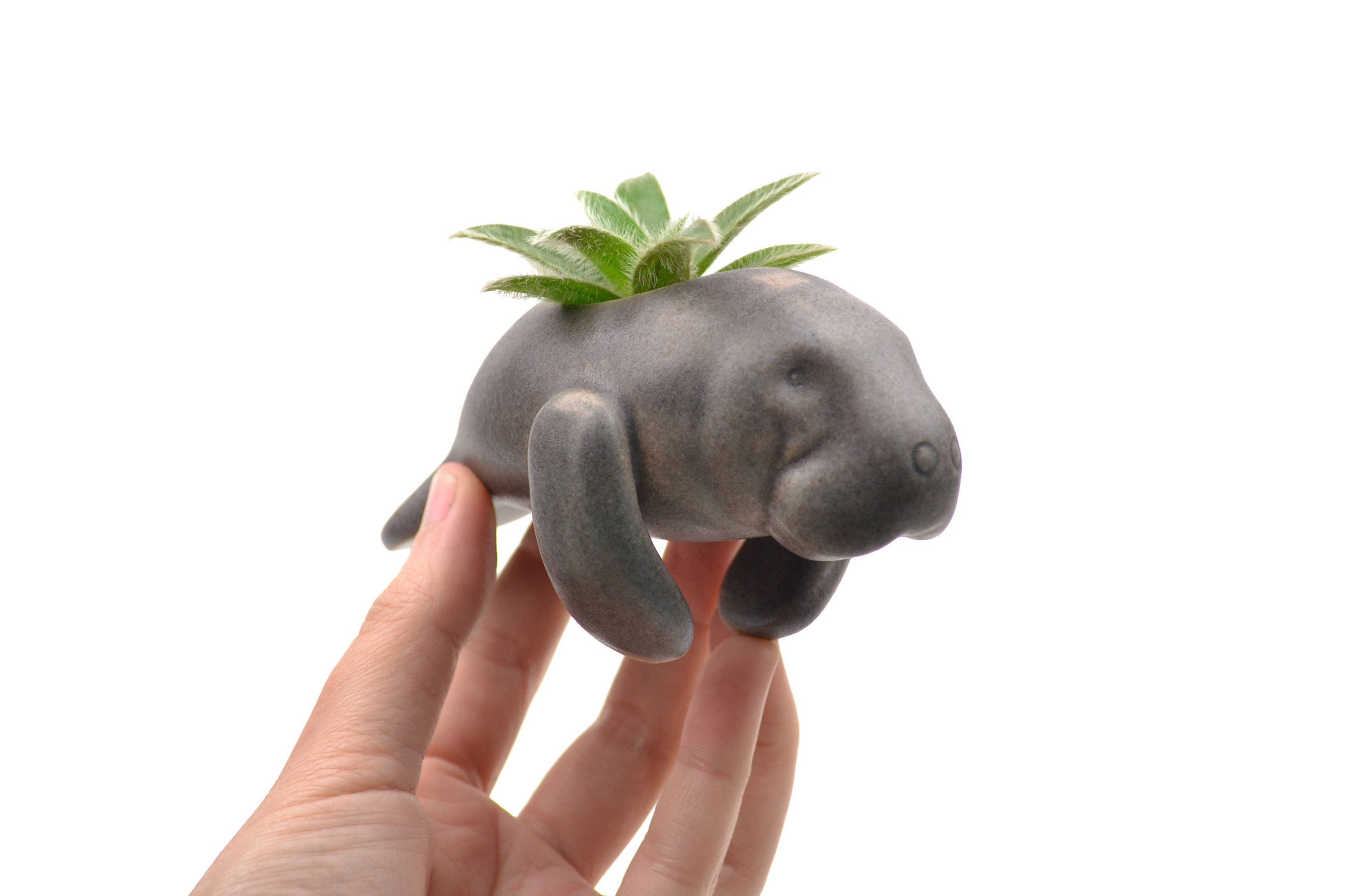 Small cute manatee planter ceramic planter animal planter