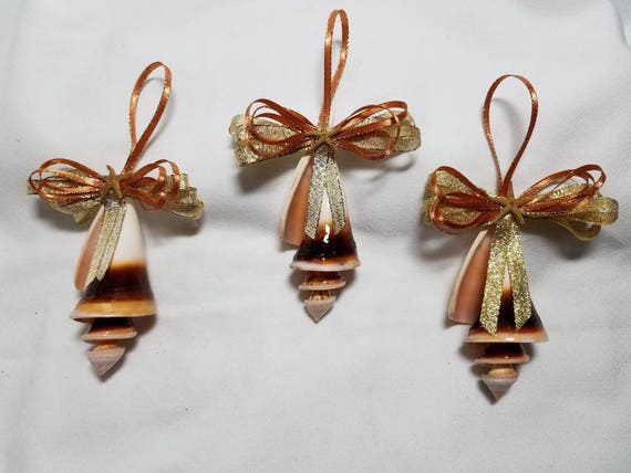 Spiral Cut Conch Shell Ornament Spiral Cut Lambis Seashell