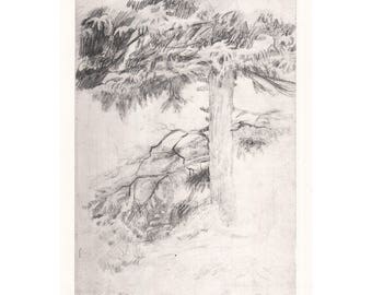 Intaglio Landscape Original etching Original landscape