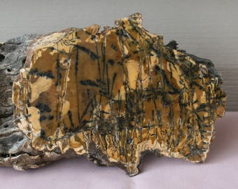 Dendritic jasper | Etsy