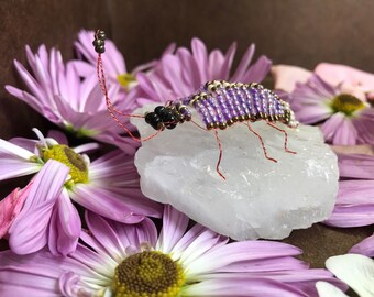 Crystallized Bee crystal bug insect wings honeybee