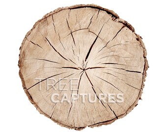 Tree ring print | Etsy