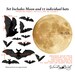 Bats and Moon Halloween Wall Decor Full Moon and a Colony of