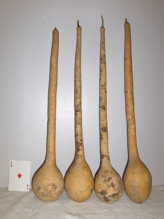 Four 4 Long Handle Dipper Gourds Dried Gourds Craft Ready