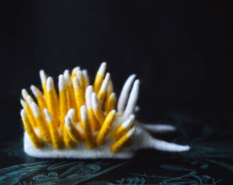 wool needle felt nudibranchs sea slugs and by WoolCreature on Etsy