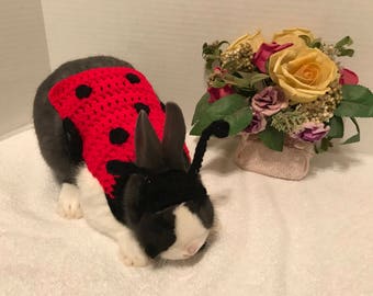 Rabbit clothes | Etsy