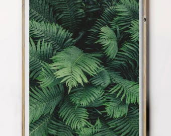 Fern Wall Decal Large Leaf Decals Vinyl Wall Decal Leaves