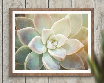 Minimalist Small Plants INSTANT DOWNLOAD Illustration Art