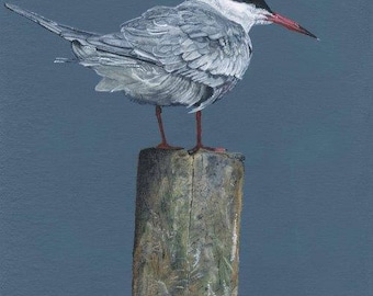 Common tern | Etsy