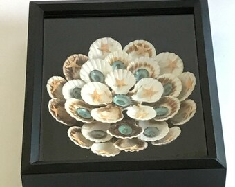 Shell collage | Etsy