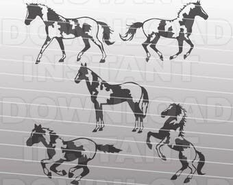 Pinto horse art | Etsy