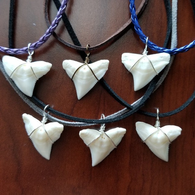 The Shark Tooth Shop by TheSharkToothShop on Etsy