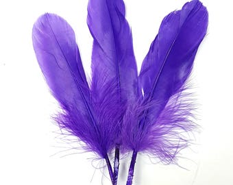 4 of Feathers Amethyst Goose Nagoire for Bridal