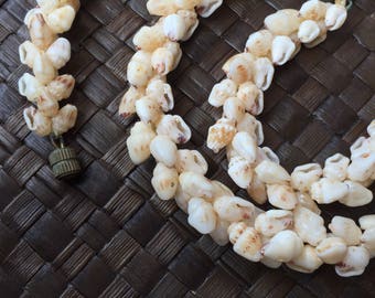 Niihau shell jewelry | Etsy