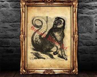 47 VUAL demon seal pendant Goetia sigil necklace Lemegeton