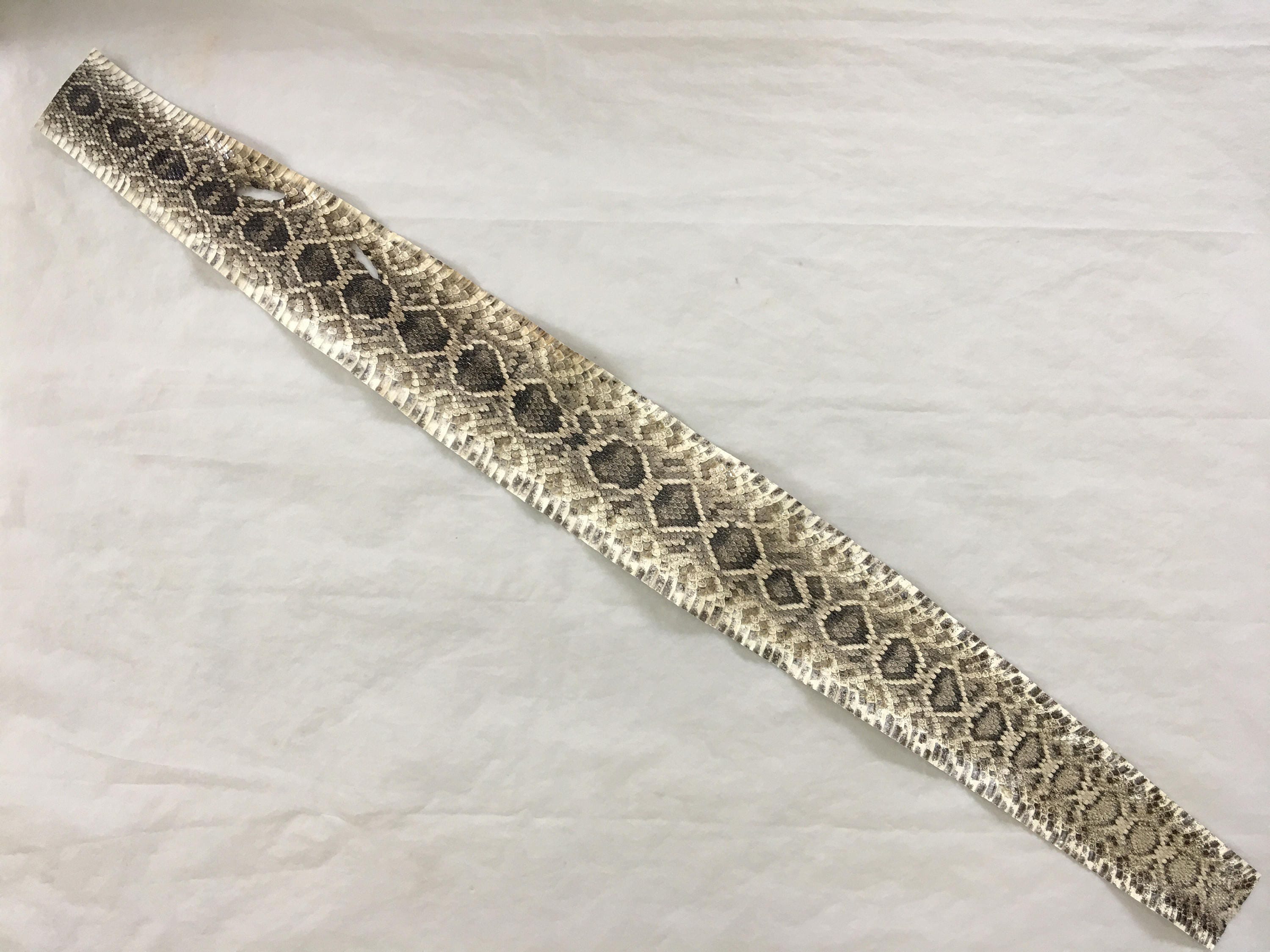 New Eastern Diamondback Rattlesnake Hide, real snake skin, rattlesnake ...