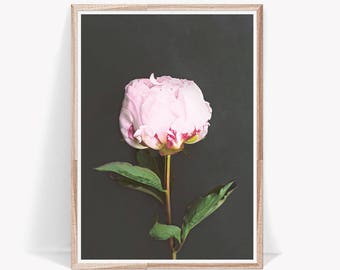 Peony print | Etsy