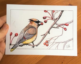 Chickadee drawing | Etsy