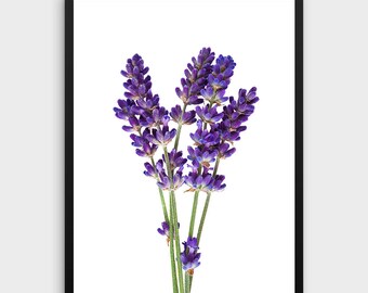 Lavender wall art | Etsy
