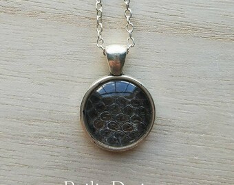 Real snake skin | Etsy