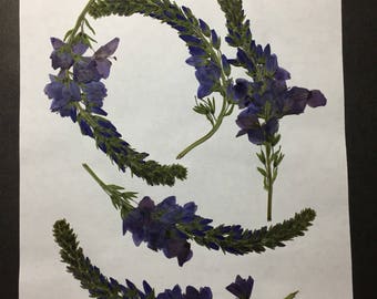 Wispy flowers | Etsy