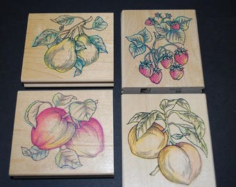 Fruit rubber stamp | Etsy