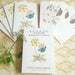 Flower notecards. notelets with flowers. cowslip and