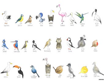 A3 Bird Alphabet print