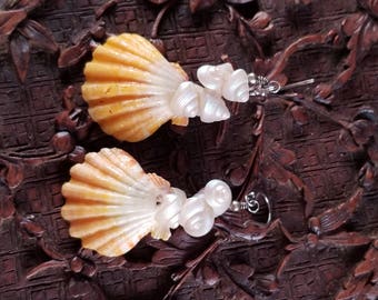 Sunrise shell | Etsy