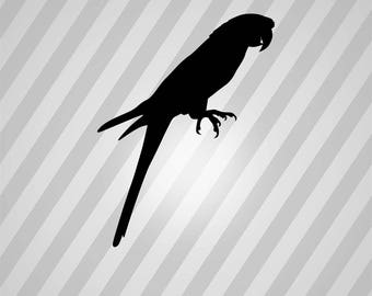 Parrot svg | Etsy