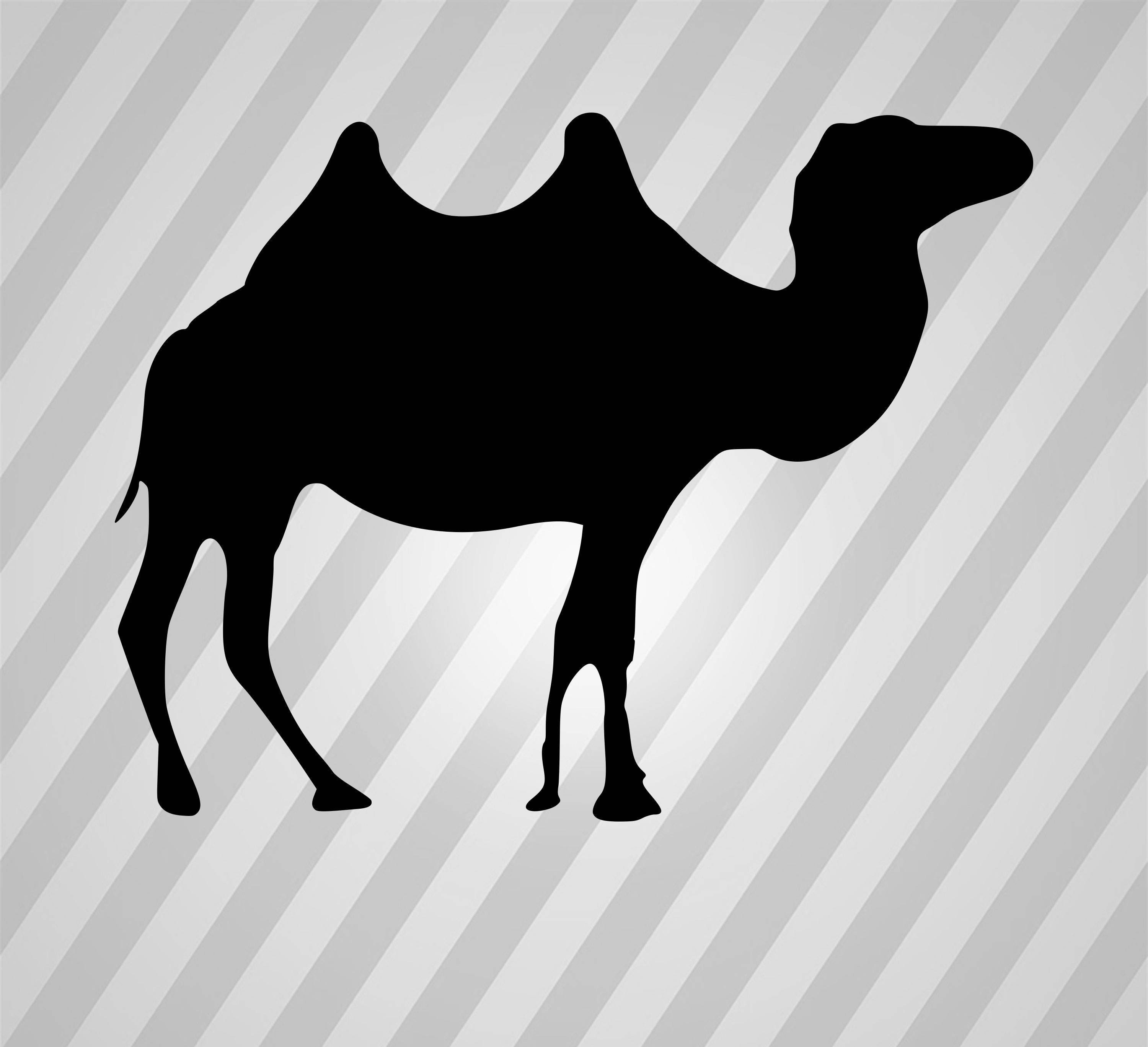 Camel Silhouette Svg Dxf Eps Silhouette Rld Rdworks Pdf Png