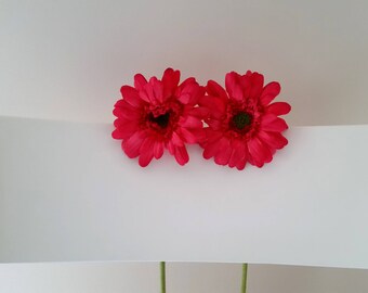 Gerbera daisy | Etsy